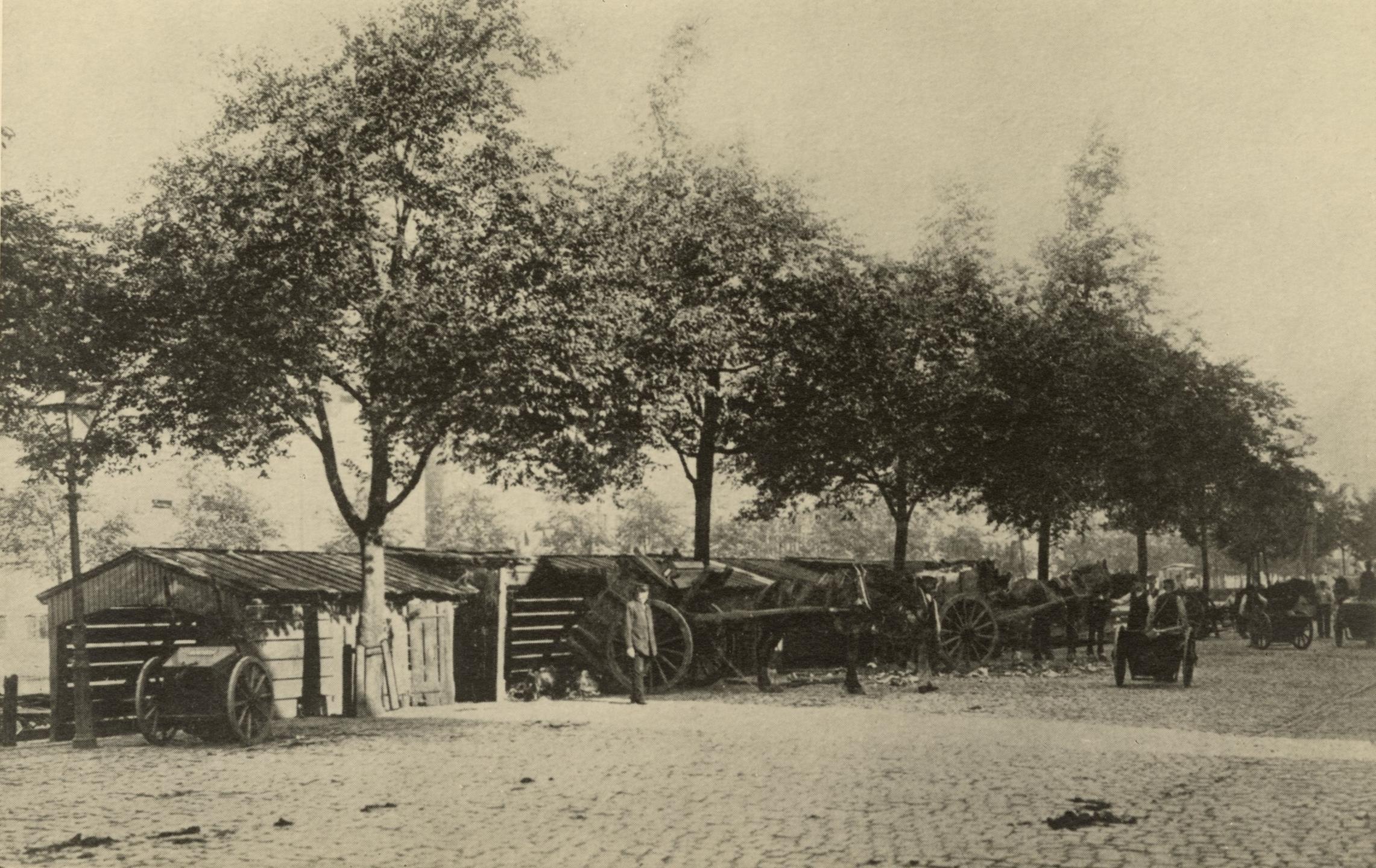 Fotocollectie ROTEB | Stadsarchief Rotterdam